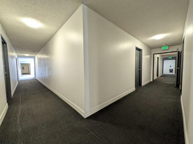 New Hampshire Terrace 1 Bedroom Apartment for Rent at 864 S New Hampshire Ave, Los Angeles, CA 90005 Wilshire Center Koreatown