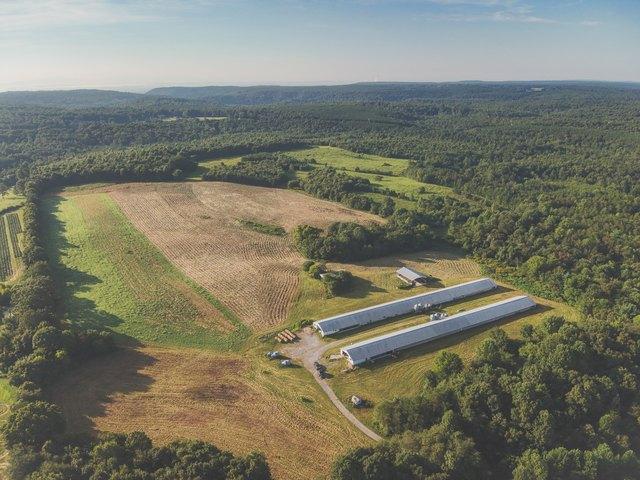 New Harmony Rd, Pikeville, TN 37367