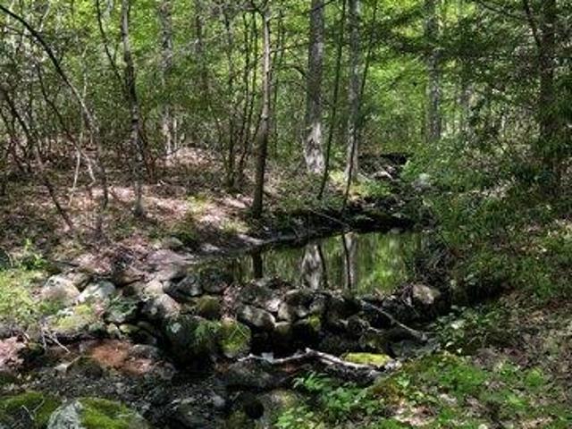 New Hartford CT 06057 LS102826704