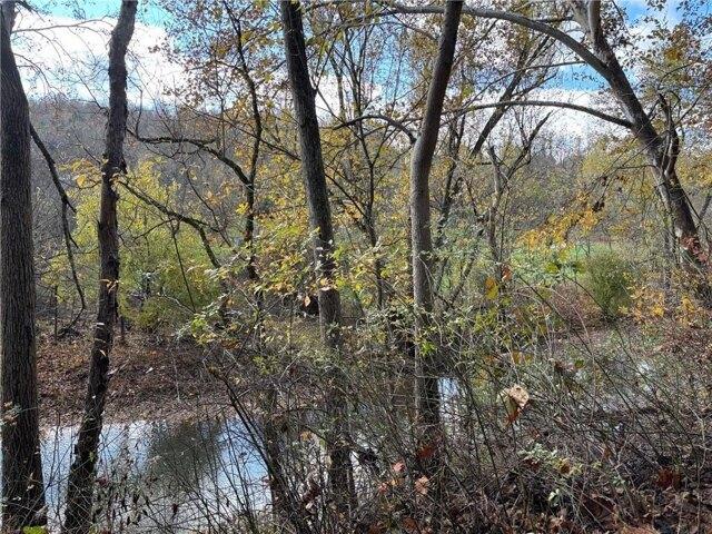 New Hill Rd, Grindstone, Plot For Sale