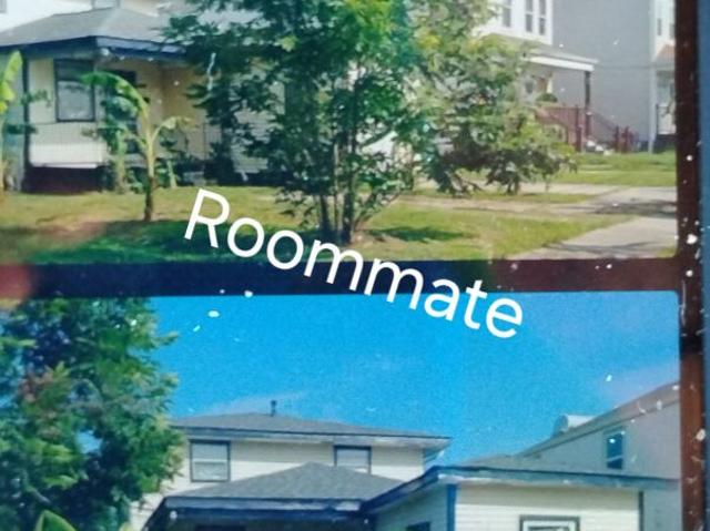 New Orleans. Lower NinthWard. Roommate Wanted
