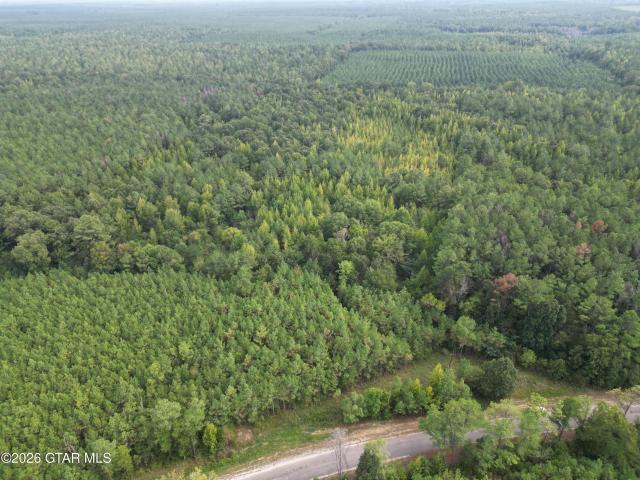 New Light Road, Starkville, MS 39759