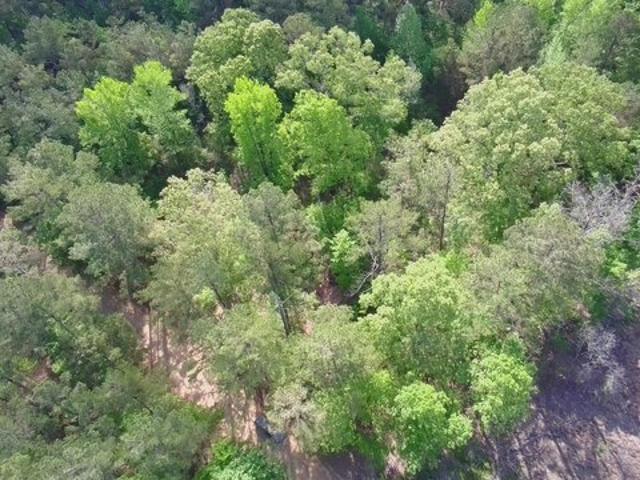 New Light Rd, Sturgis, MS 39769