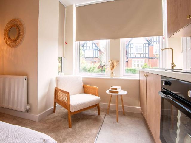 New Luxury Studios, w/ Cinema Room  Room 6