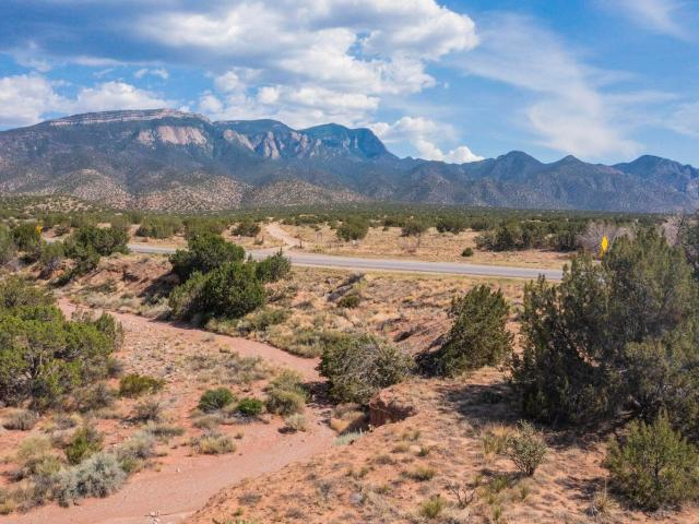 New Mexico 165
