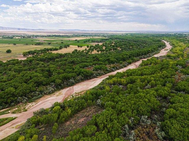 New Mexico 116, Bosque, NM 87006