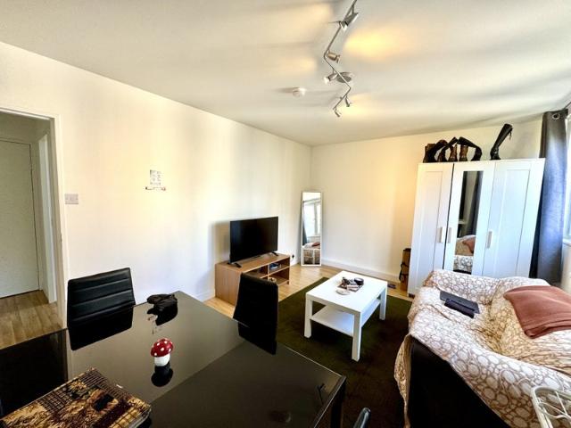 New Renovated Flat Old Street! 2/3 Bedroom