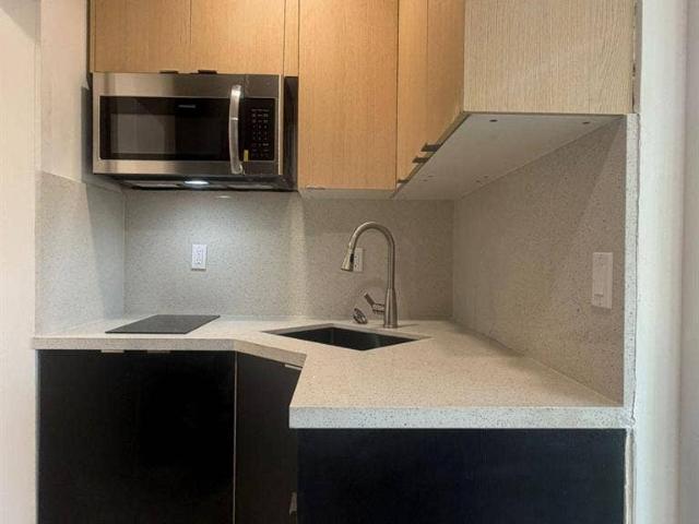 New Renovated Studio Apartment