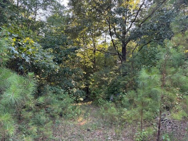 New Union Loop, Toone, TN 38381 | MLS #10205