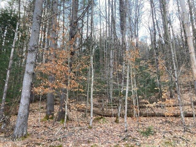 New Vermont Rd, Bolton Landing, Plot For Sale