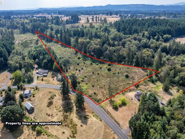 Newaukum Valley Rd, Chehalis, WA 98532 | MLS #272597