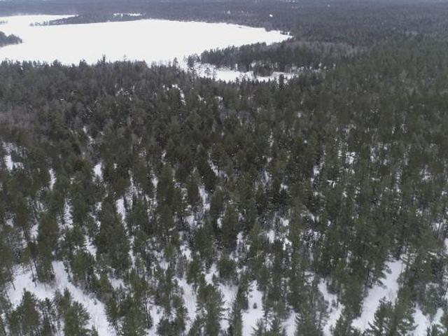 Newberry, Luce County, MI Recreational Property, Undeveloped L.