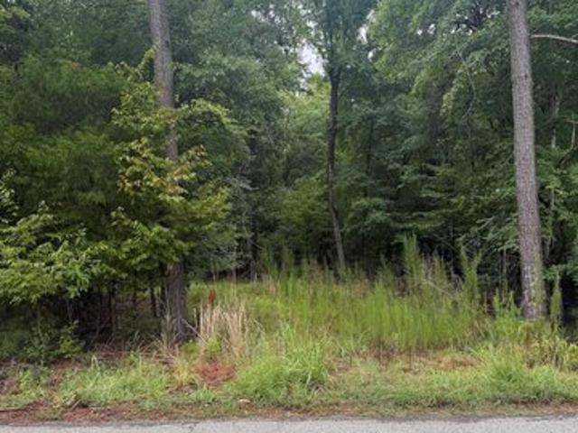 Newberry Shores Dr, Prosperity, SC 29127