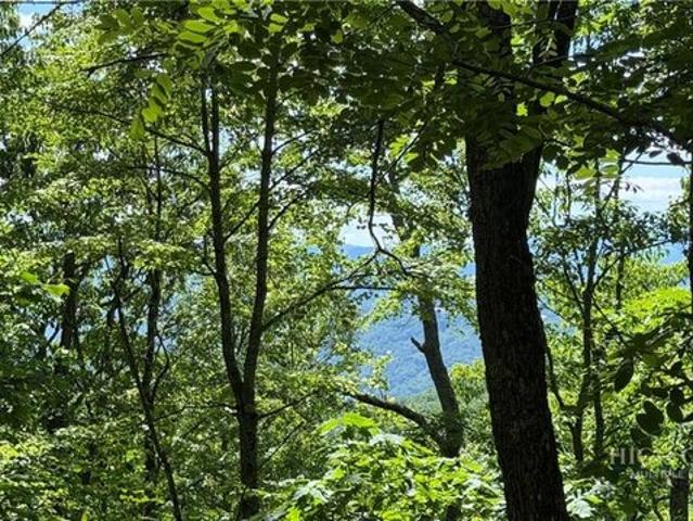 Newbiggin, Boone, NC 28607