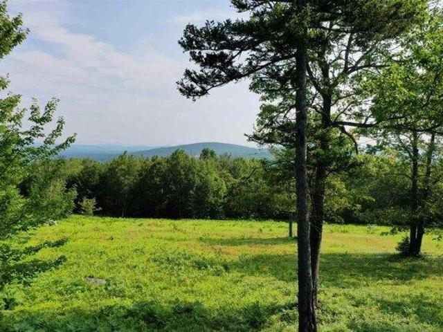 Newbury NH 03255 102028384
