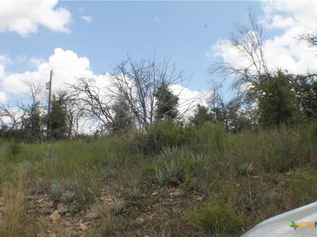 Newcastle Dr, Brownwood, TX 76801