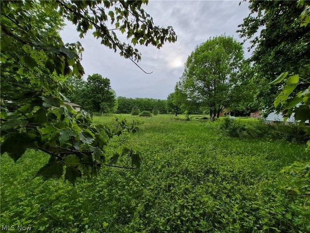 Newell Ledge Rd, Garrettsville, OH 44231
