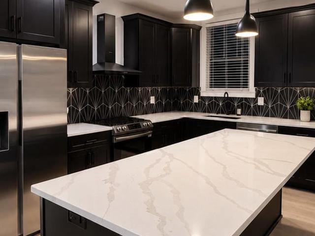 Newer Modern and Spacious Home Close to Downtown w