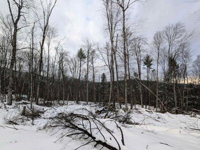 Newfane VT 05351 102283440