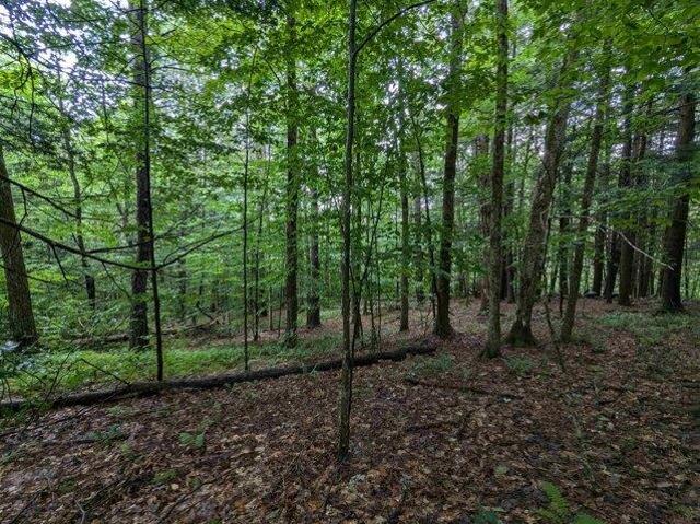 Newfane VT 05351 102761979