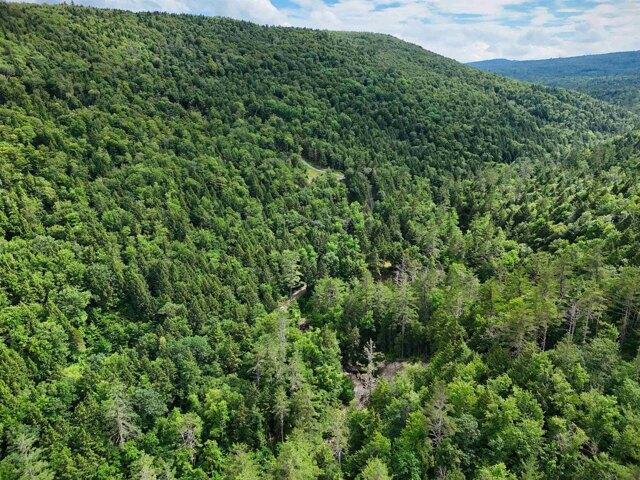 Newfane VT 05351 103968382