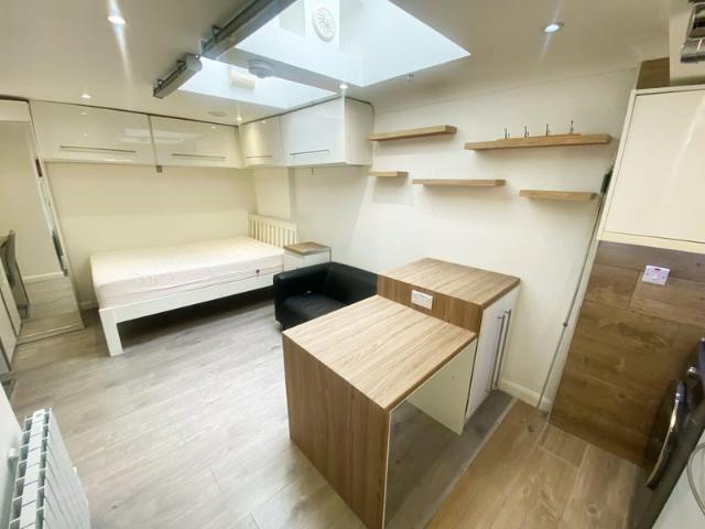 Newly developed large studio Flat