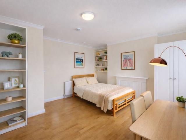 Newly Furnished Bright Double Bedsit in Chelsea