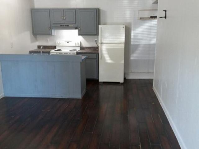 Newly Remodeled 1bd and 1ba