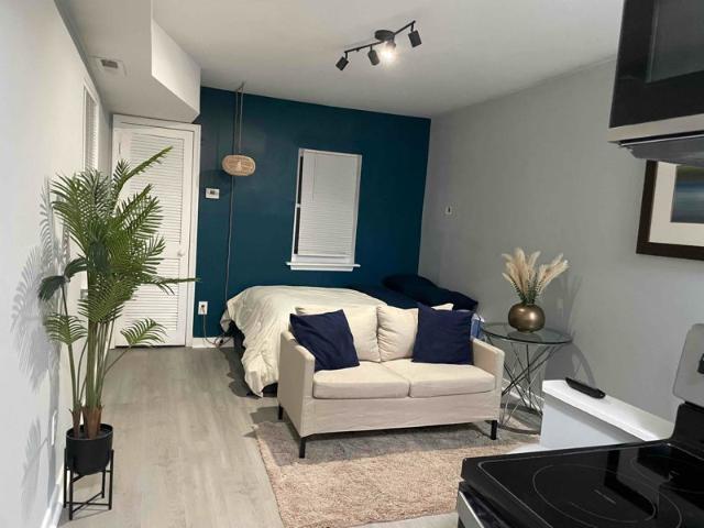 Newly Renovated Cozy Studio Apartment near Downtow