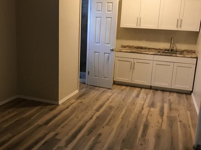 Newly renovated cozy studio for one person