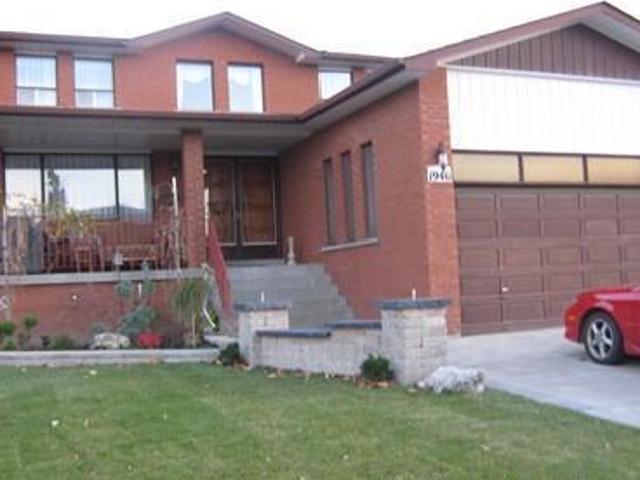 NEWLY RENOVATED BACHELOR BASEMENT, MISSISSAUGA ONT
