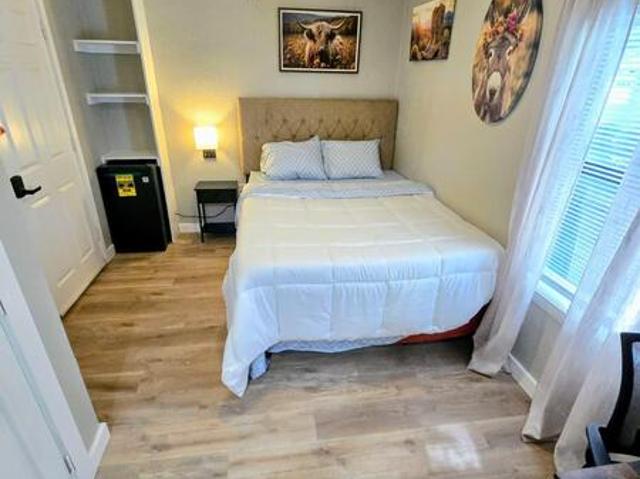 Newly Renovated Dallas Home