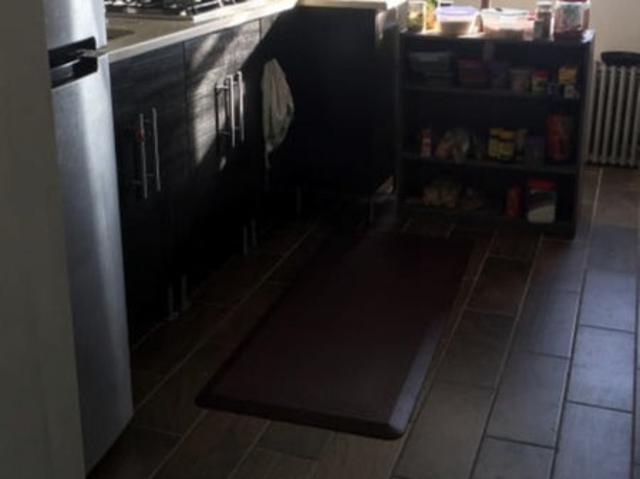 Newly renovated decent size room in 2 br apt