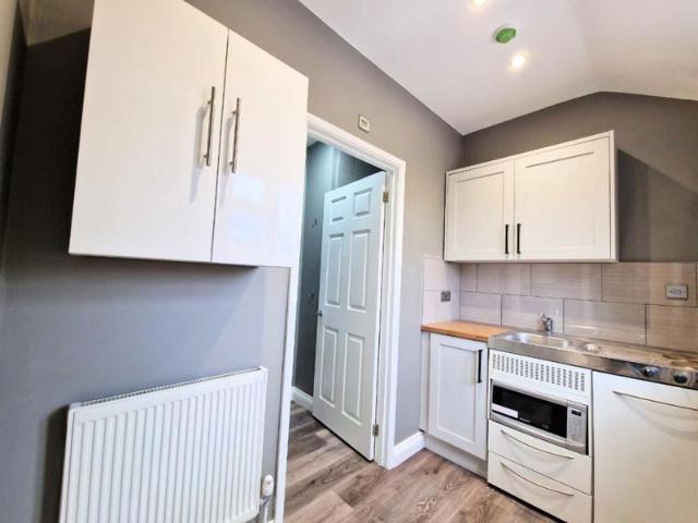 Newly Renovated Fully Furnished Studio Flat