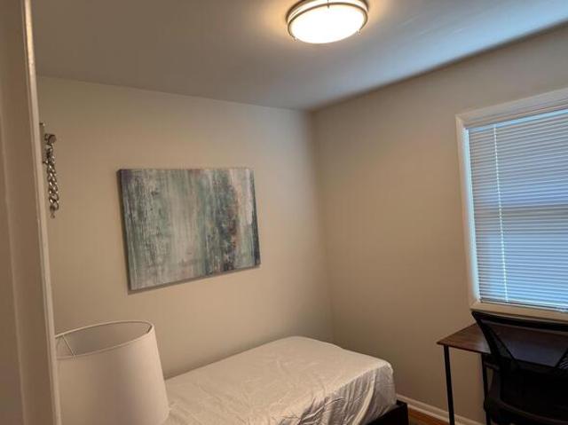 Newly Renovated House on Quiet, Leafy Dead End Street
