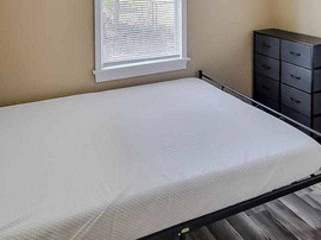 Newly renovated & homey Jacksonville House with Backyard