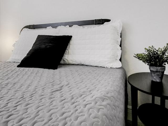 $Newly renovated & homey Tampa House with very big rooms