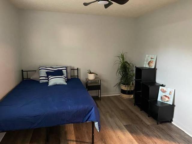 Newly Renovated in Orange Park