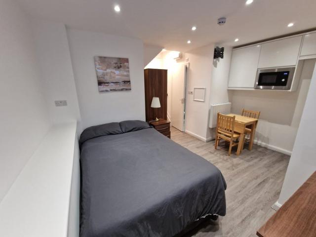 Newly Renovated, Never Lived In Studio