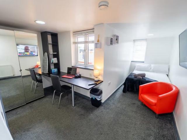 Newly renovated studio on offer for July/Aug