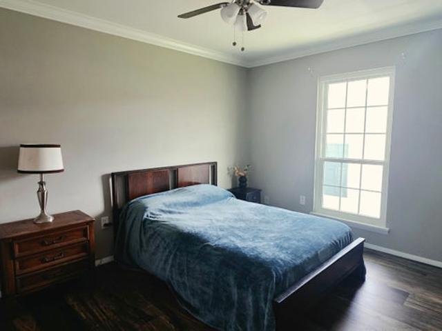 Newly Renovated Room with Perks!