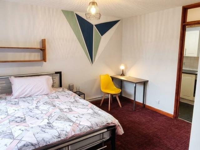 Newly refurbished studio Rare finds
