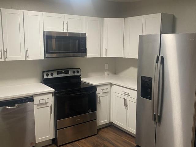 Newlyrenovated & comfy Tampa House