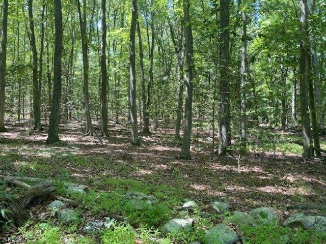 Newman Rd, Hardwick Twp, Plot For Sale