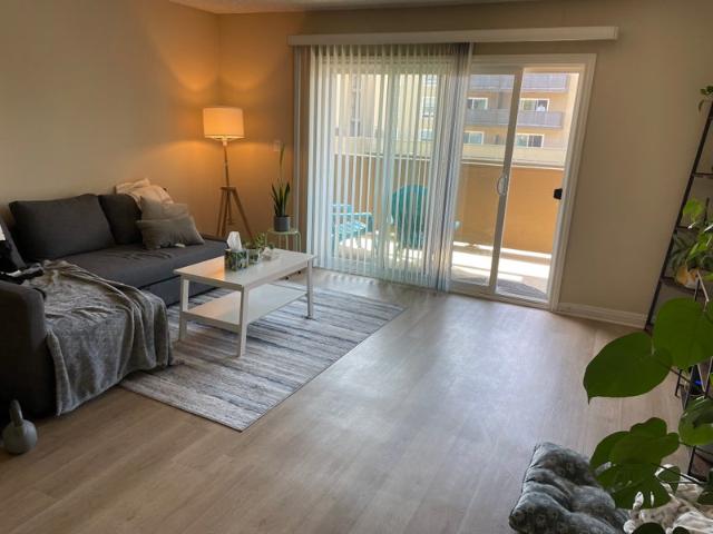 Newport Beach Room