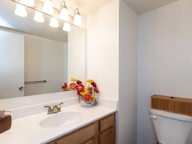 Newport Lake Apartments Studio Apartment for Rent at 173 Louise Dr, Newport News, VA 23601 Saunders