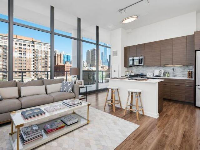Next Apartments 1 Bedroom Apartment for Rent at 347 W Chestnut St, Chicago, IL 60610 Near North Side