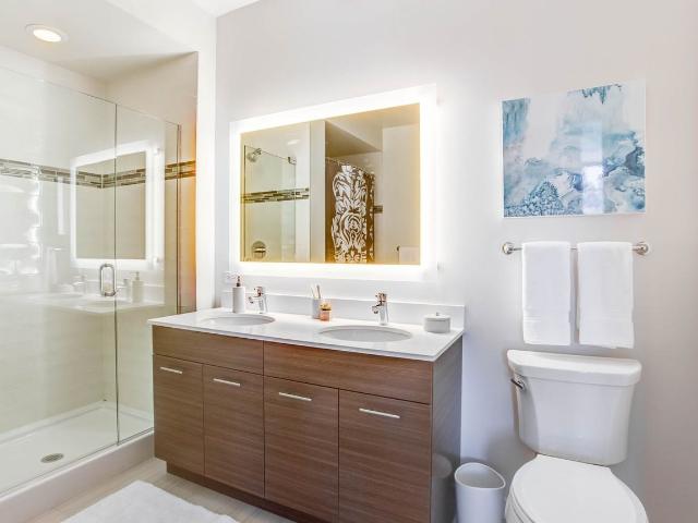 Next Apartments Studio Apartment for Rent at 347 W Chestnut St, Chicago, IL 60610 Near North Side