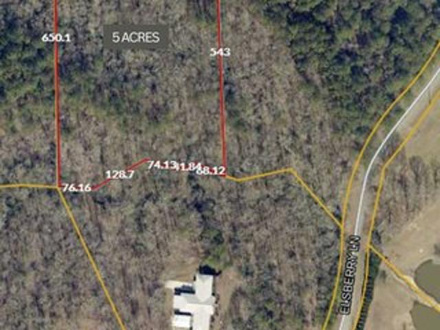 Next to 443 McIntosh Rd, Brooks, GA 30205