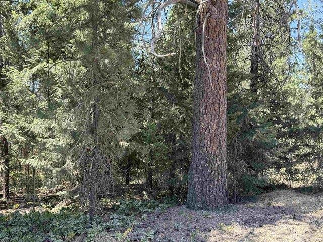 Nkn N Regal Rd, Chattaroy, WA 99003